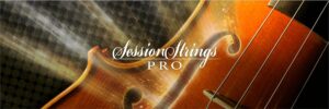 Session Strings Proの使い方 【Native Instruments】